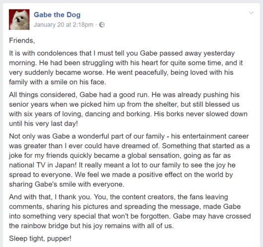 Gabe the dog, a tribute to the legendary pupper – Accidental Factory